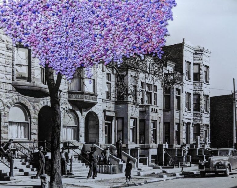 Blog - Jackie Mantey